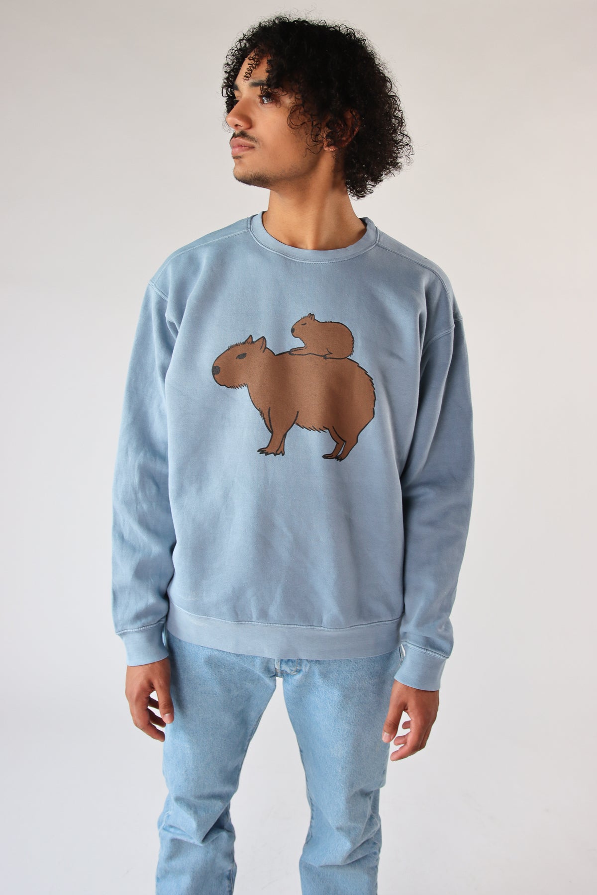 Capybara Sweatshirt – Ragstock