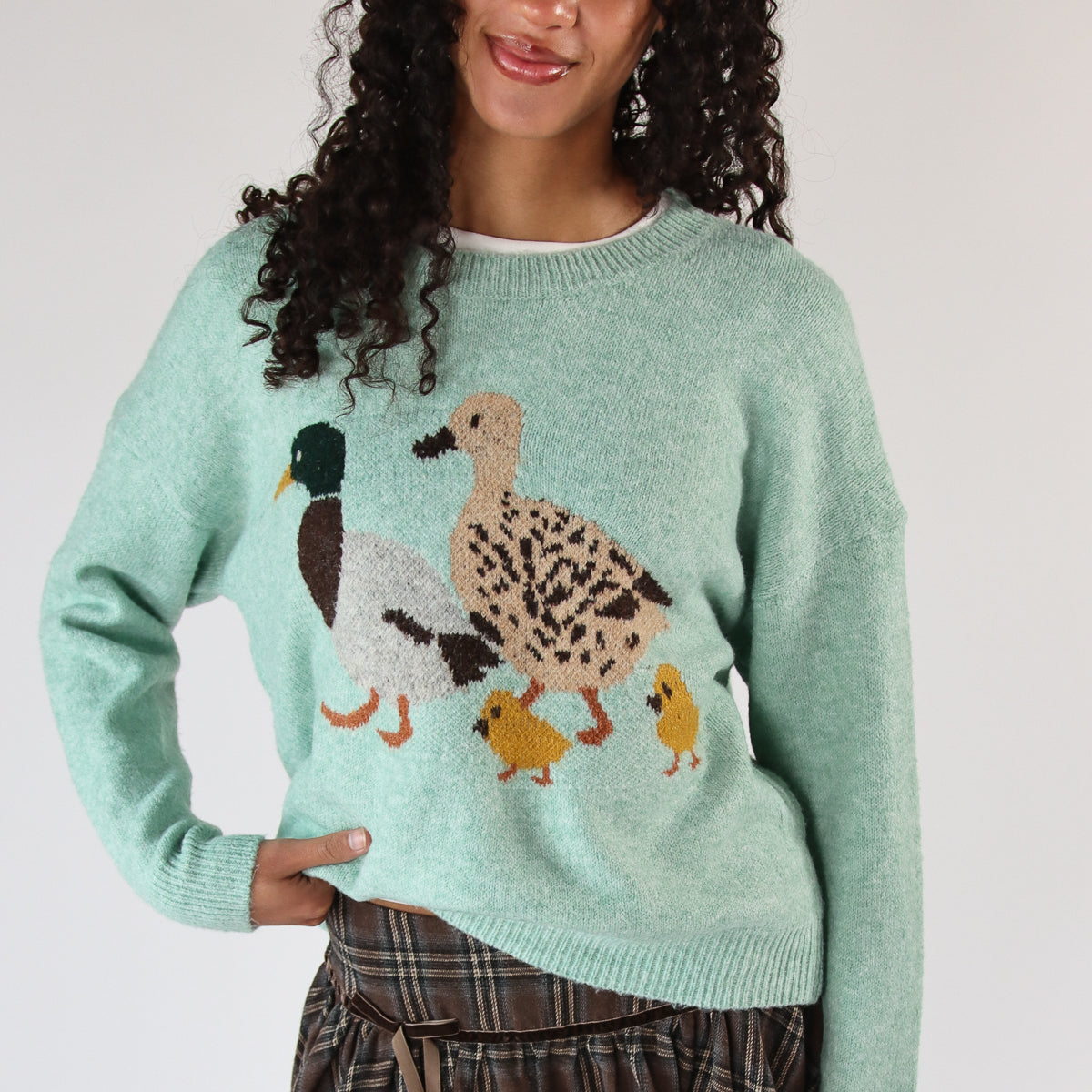 Duck Family Sweater – Ragstock