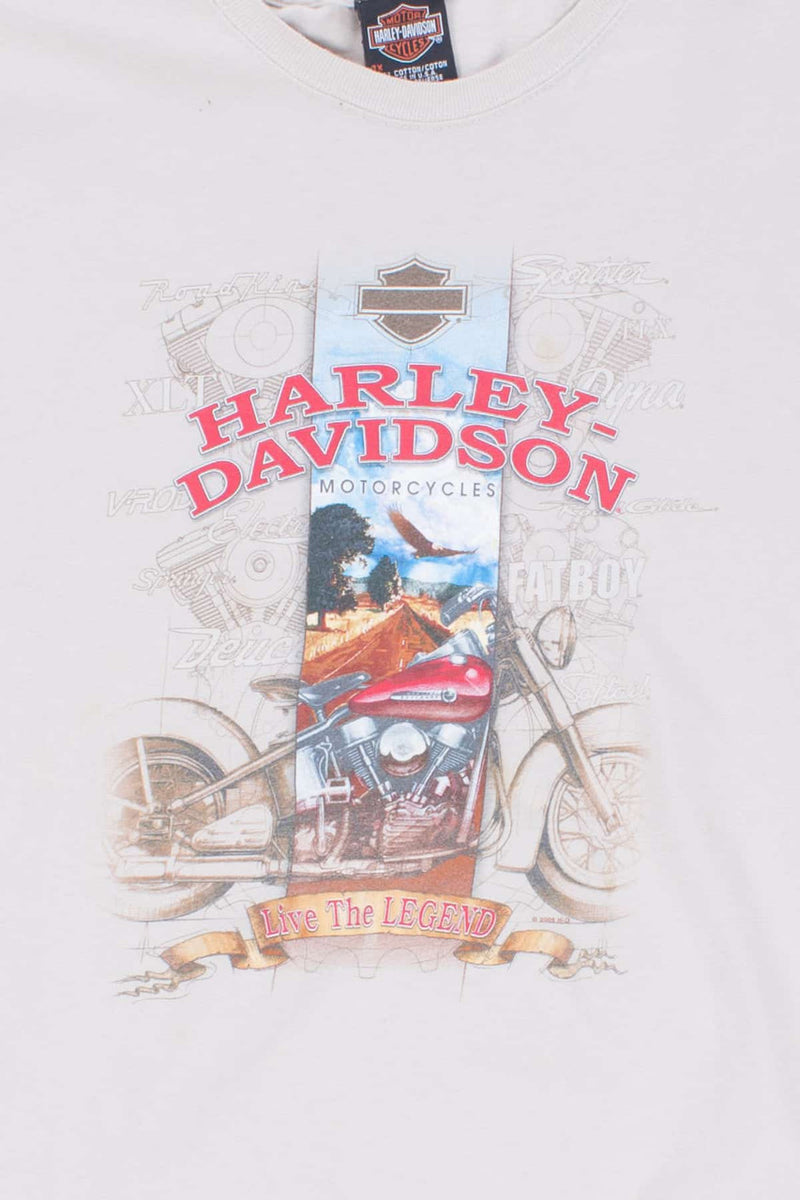 Detroit Harley Davidson T-shirt – Ragstock