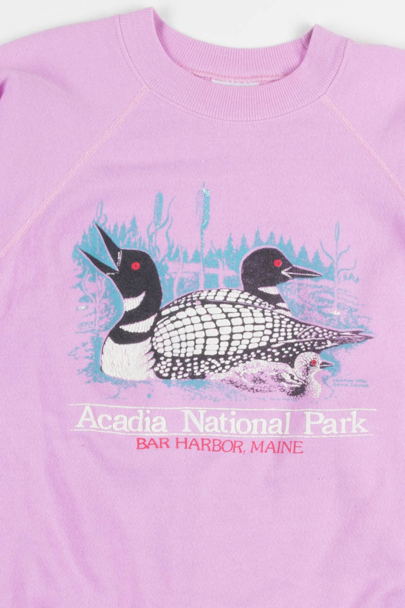 Acadia National Park Sweatshirt – Ragstock