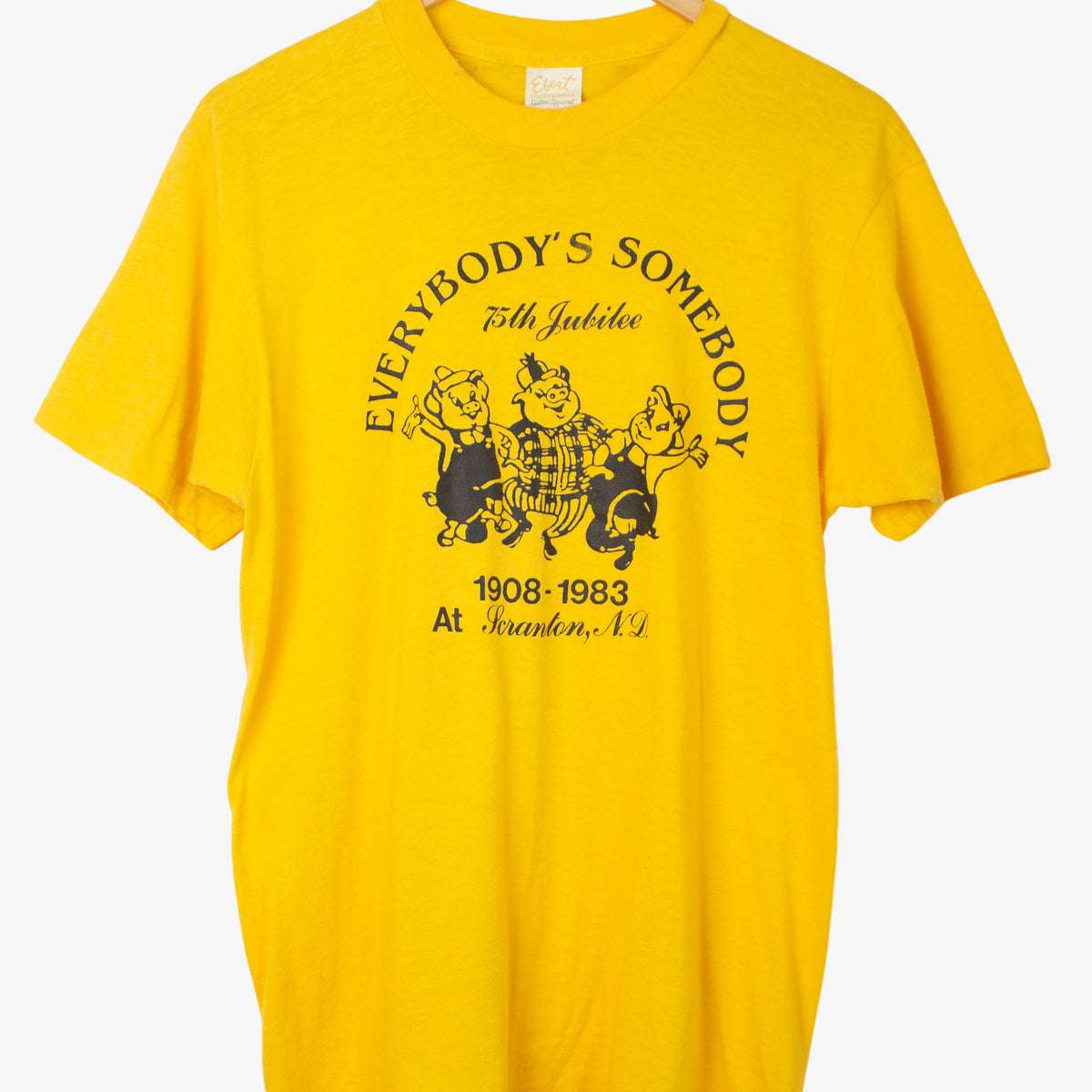 Vintage Everybody's Somebody T-Shirt (1980s) – Ragstock